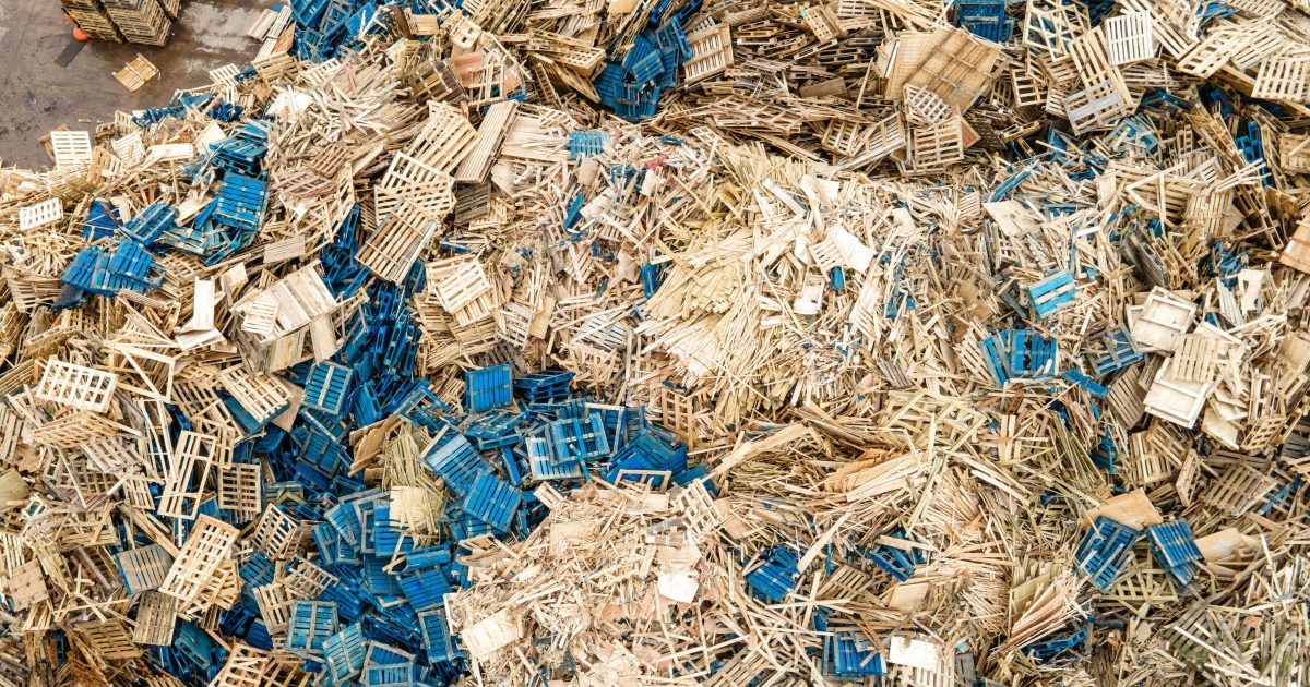 What wood we collect